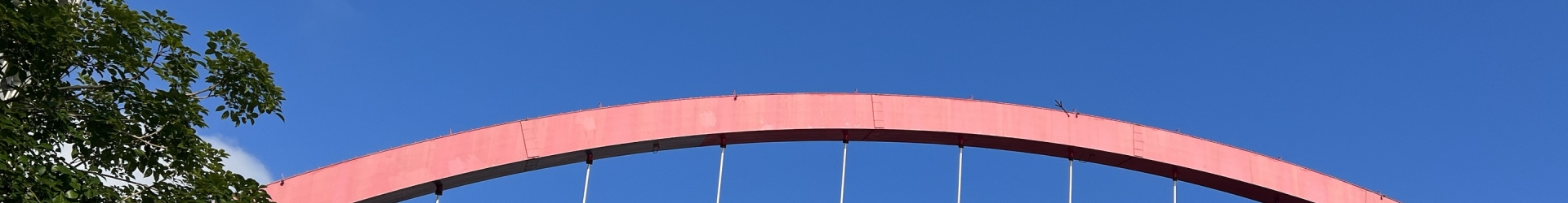 Citing Chinese Sources | STL Library